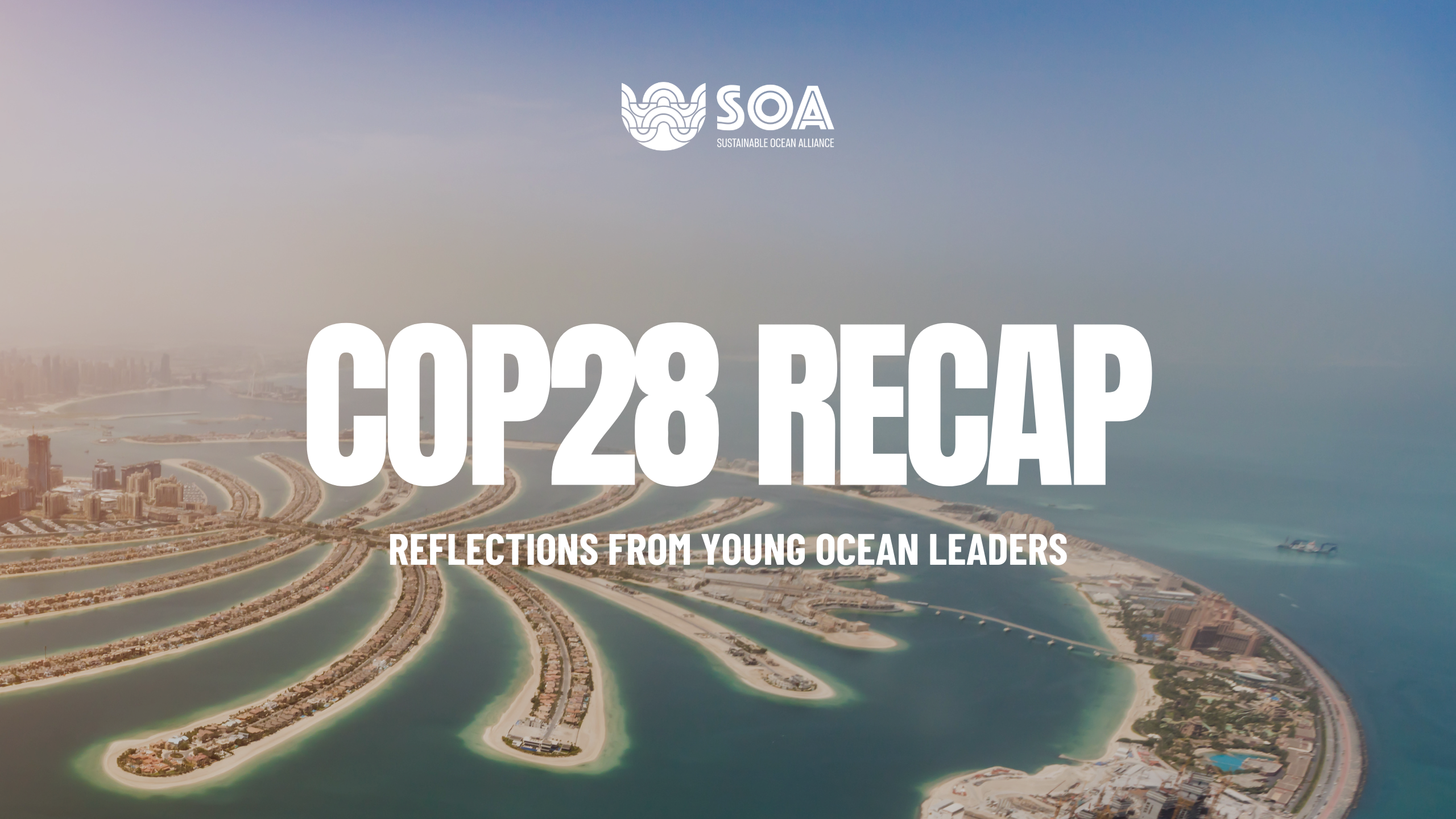 SOA Community Reflections from COP28